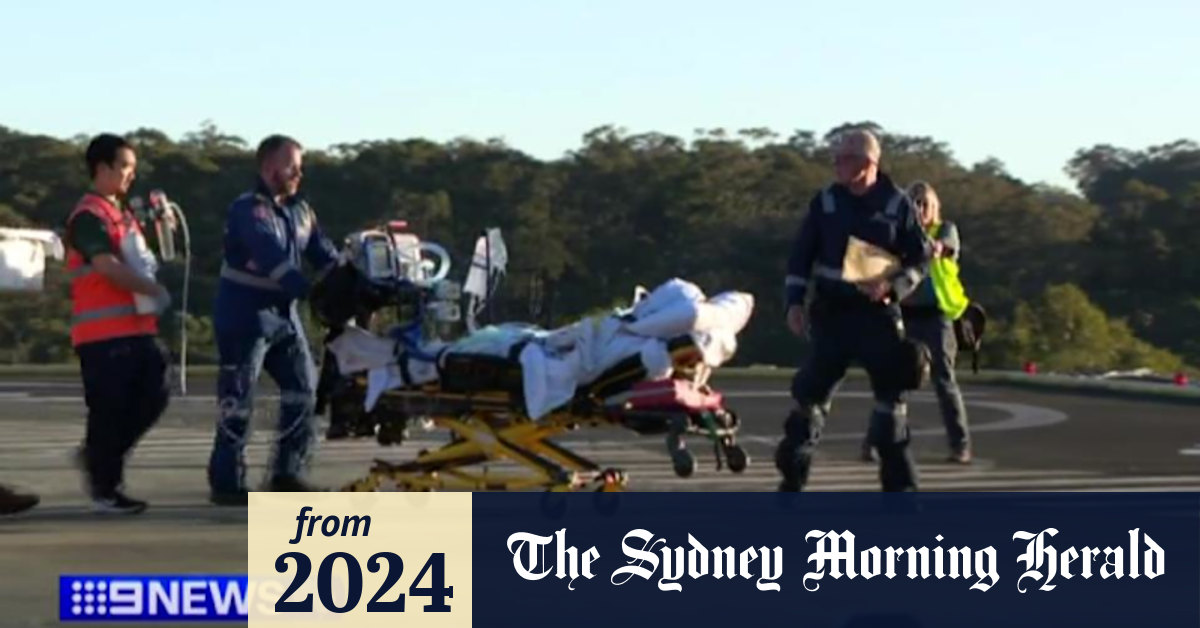 ‘Spot something missing’: shark victim’s lost leg joke